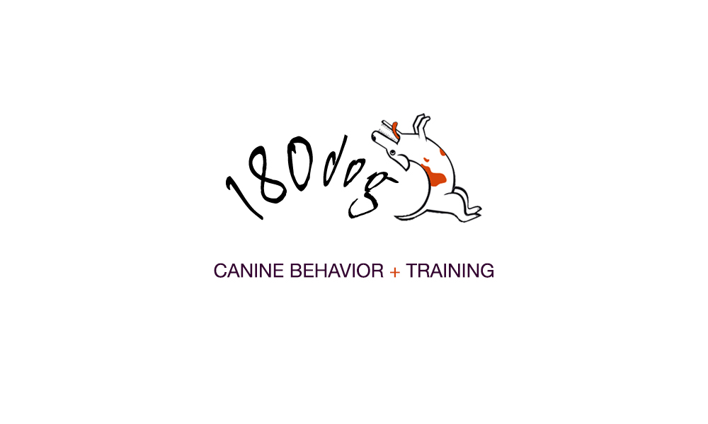 Group Classes - 180dog Dog Training and Behavior Management